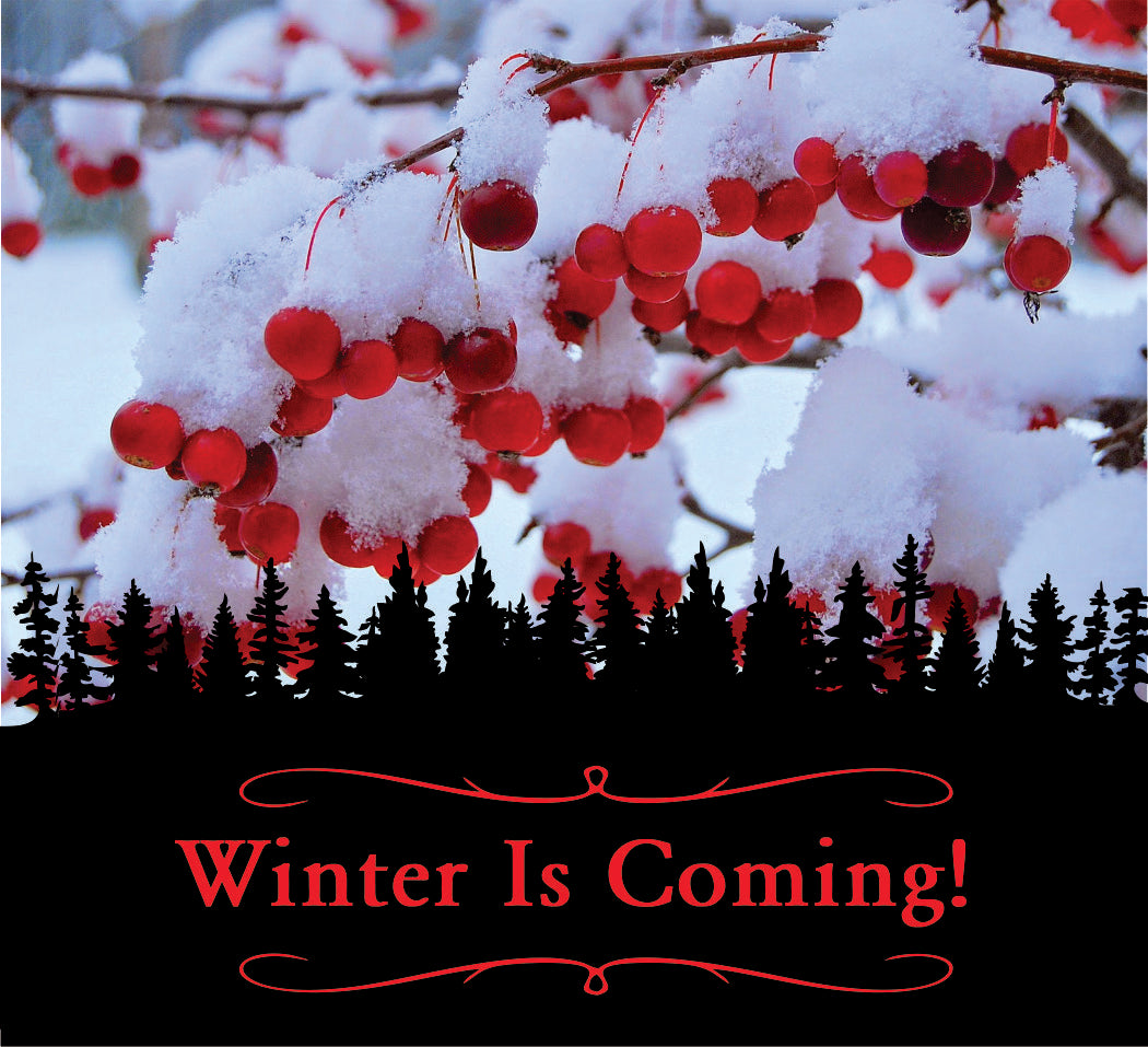 Winter Is Coming! – Haus of Gloi